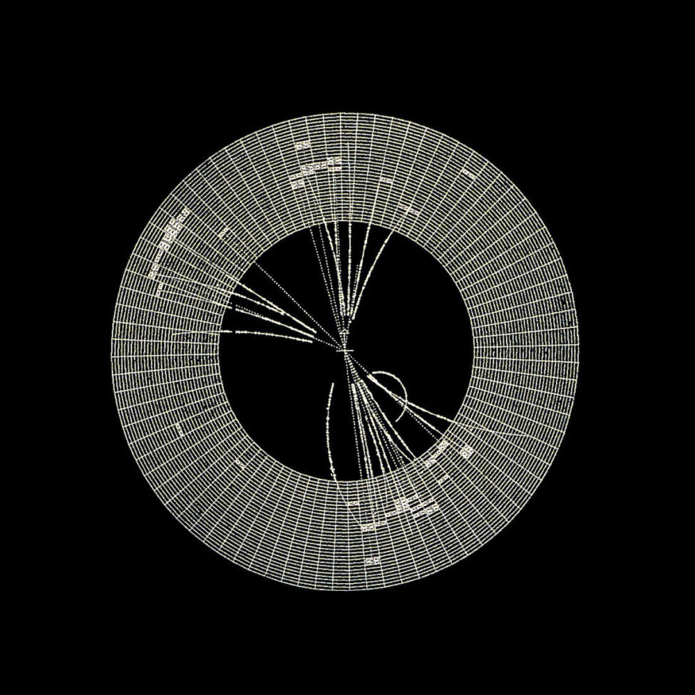 DESY: Forces of Attraction – TANJA HEHMANN